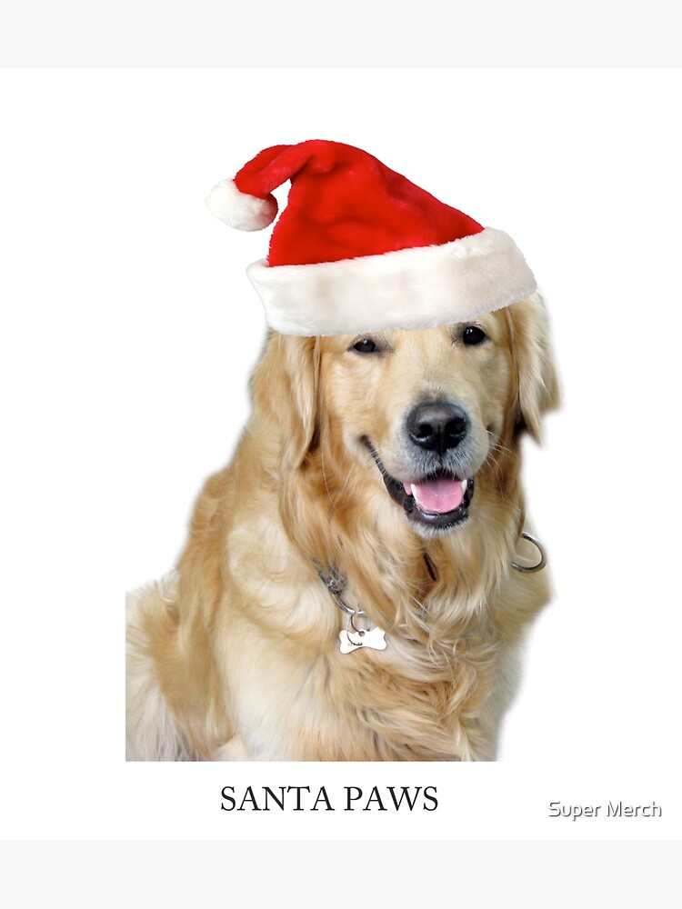 "Santa Paws" Sticker by SuperMerch | Redbubble