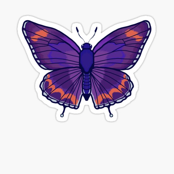 "Purple Butterfly - Colorado Hairstreak" Sticker for Sale by mamasjess ...