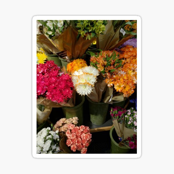 "Colorful Flower Shop" Sticker for Sale by ChicknDoodlSoup | Redbubble