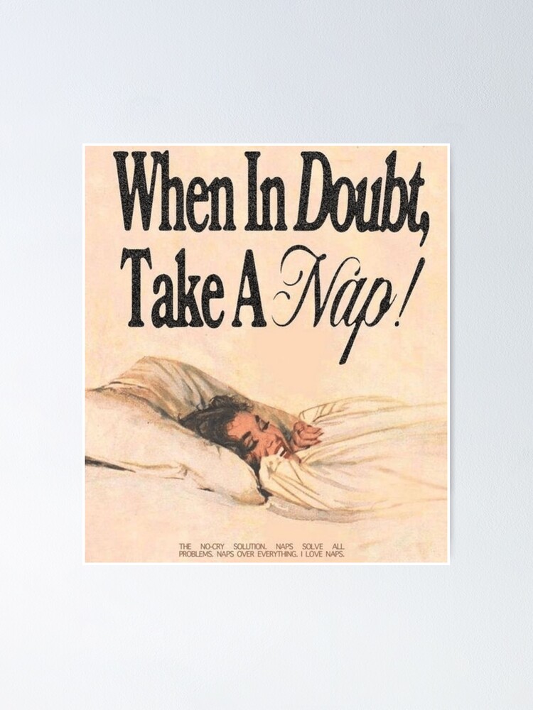 "When In Doubt Take A Nap!" Poster for Sale by Venusnlove | Redbubble