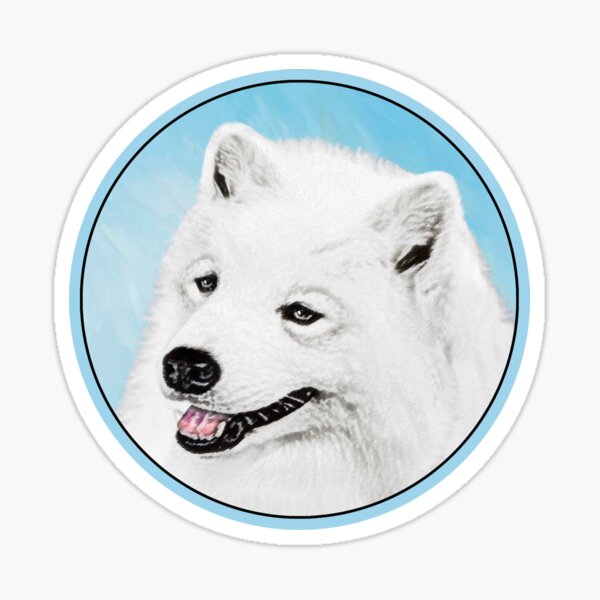 "Samoyed" Sticker for Sale by alpendesigns | Redbubble
