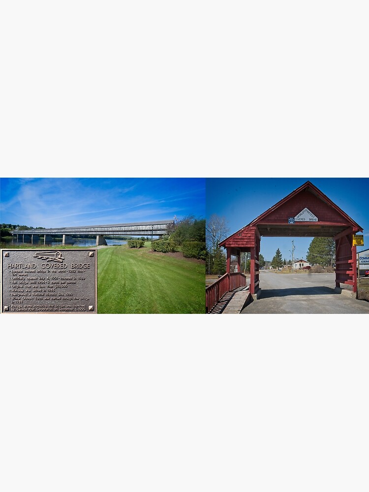 "The long and the short of it" Poster for Sale by Yukondick | Redbubble