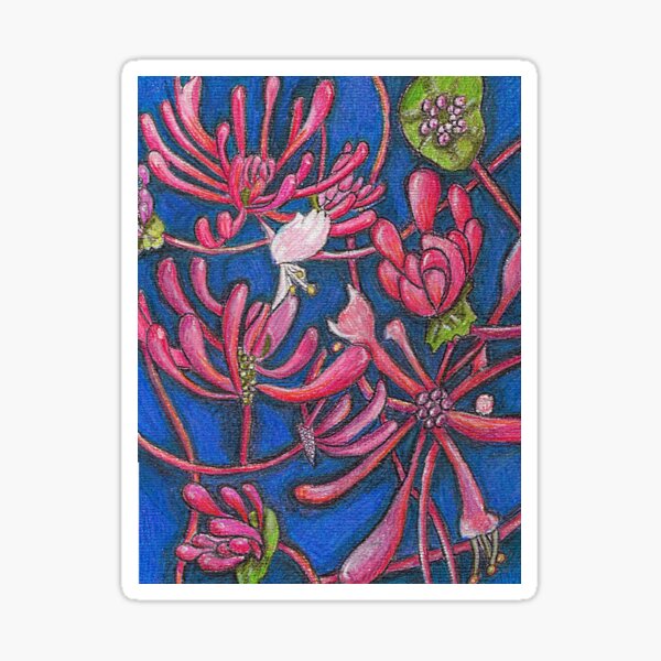 "Honeysuckle Drawing" Sticker for Sale by MarinaC41 | Redbubble