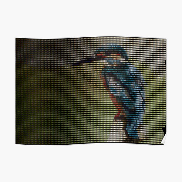 "Binary ASCII Code Bird 101010 Field" Poster for Sale by Nostalgio ...
