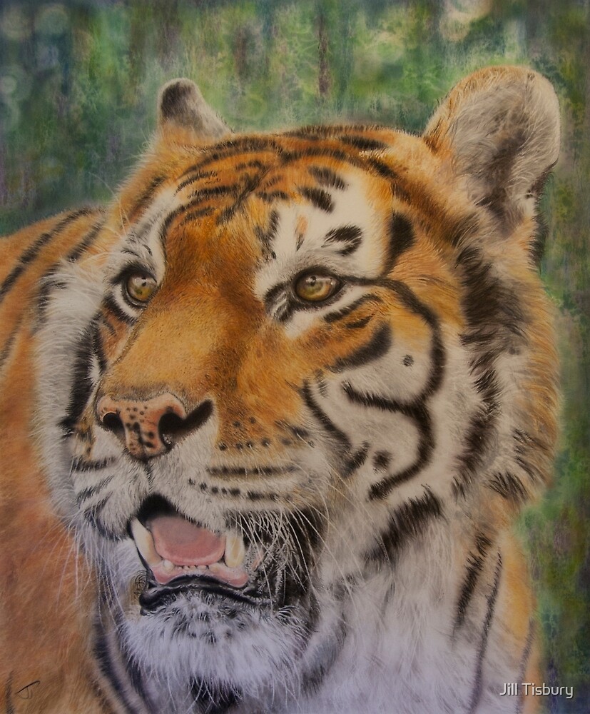 "Bengal Tiger" by Jill Tisbury | Redbubble
