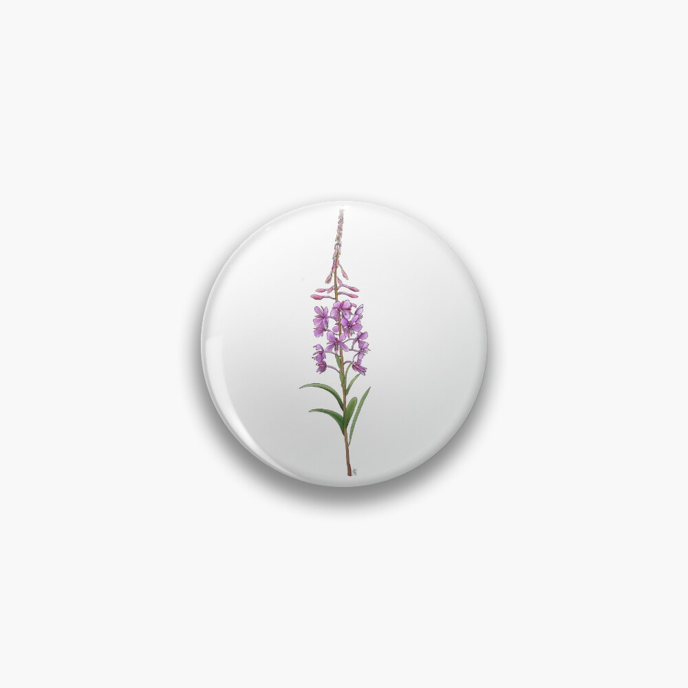 "Fireweed Wildflower" Sticker for Sale by lindsfriend | Redbubble