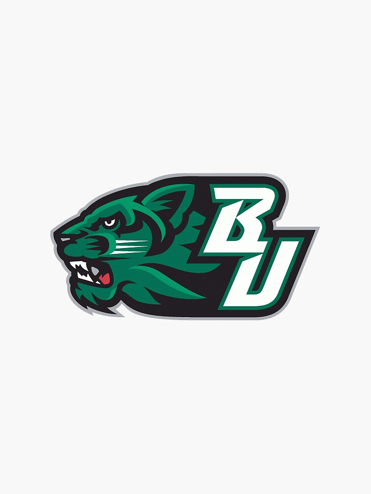 "suny binghamton university" Sticker for Sale by m3ryl | Redbubble