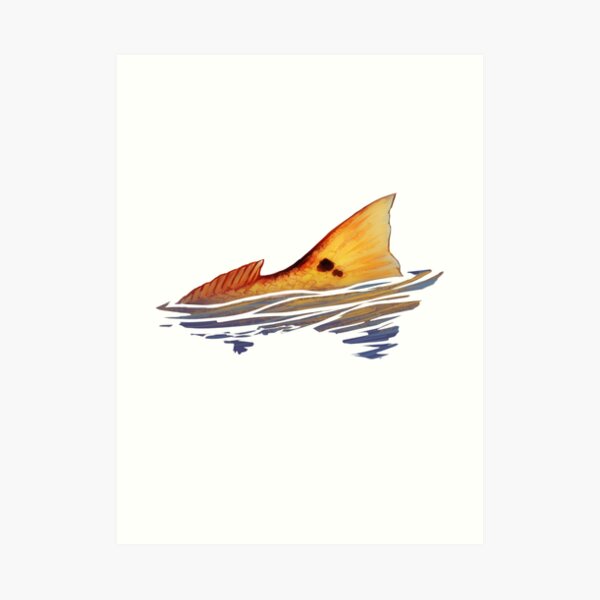"Tailing Redfish | Redfish Tail" Art Print for Sale by blueshore ...