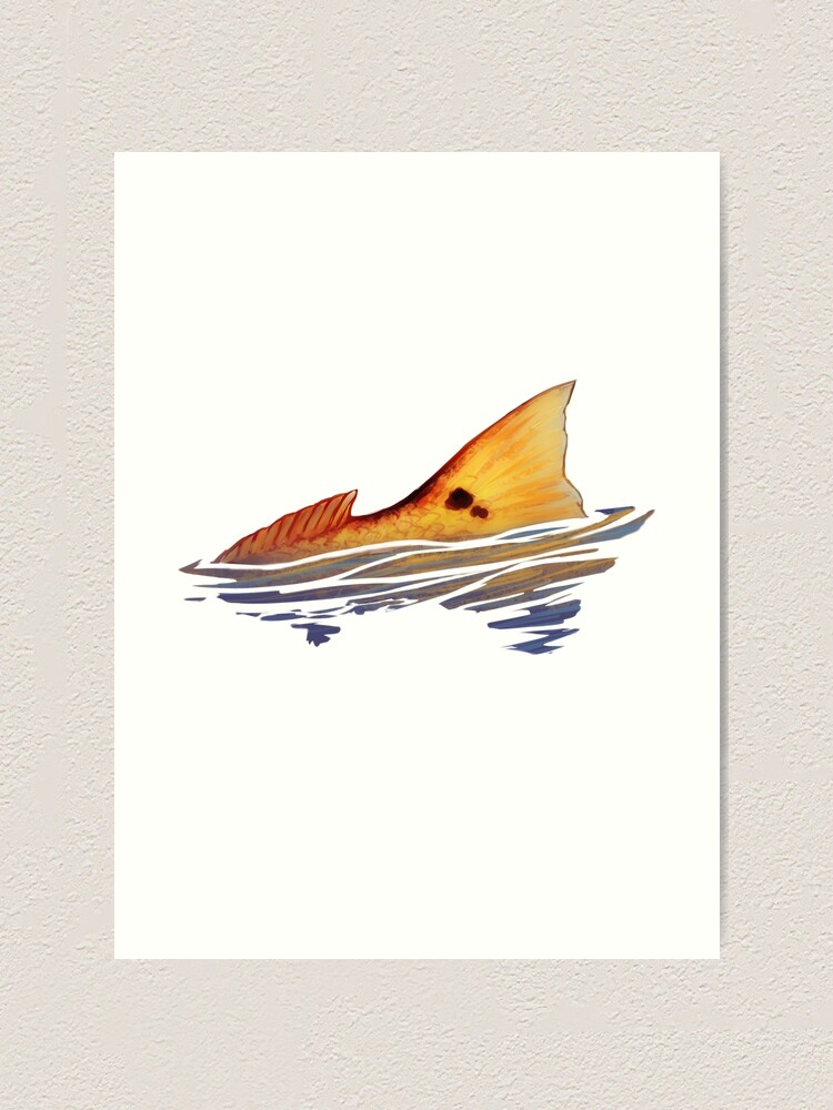 "Tailing Redfish | Redfish Tail" Art Print for Sale by blueshore ...