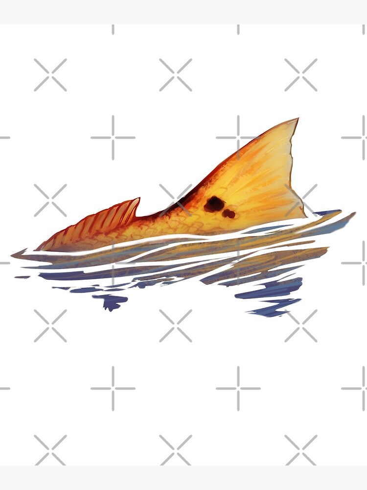 "Tailing Redfish | Redfish Tail" Art Print for Sale by blueshore ...