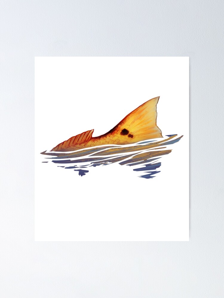 "Tailing Redfish | Redfish Tail" Poster by blueshore | Redbubble