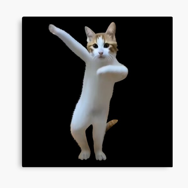 Gifs Divertidos De Gatos Bailando Paquete De Gestos Animados De