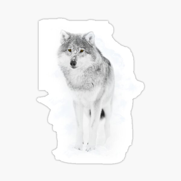 "Lone Wolf " Sticker for Sale by FallenRevol | Redbubble
