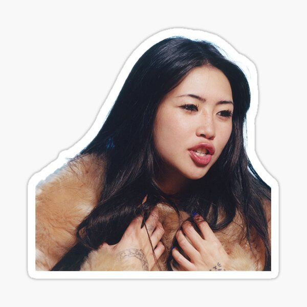 "TIHTM Beabadoobee Album Art" Sticker for Sale by Catpuss | Redbubble