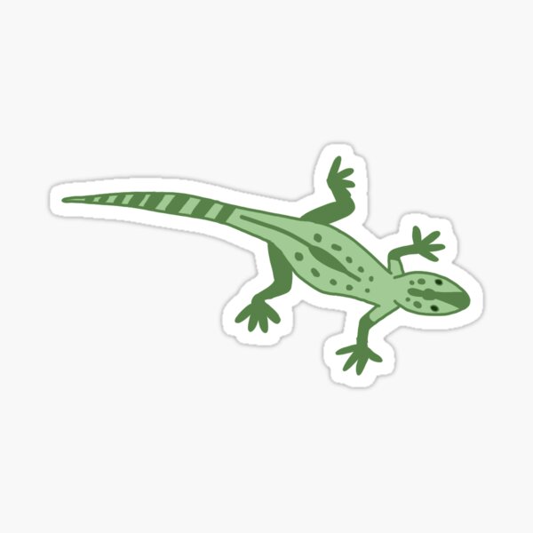 nabicollective Shop | Redbubble