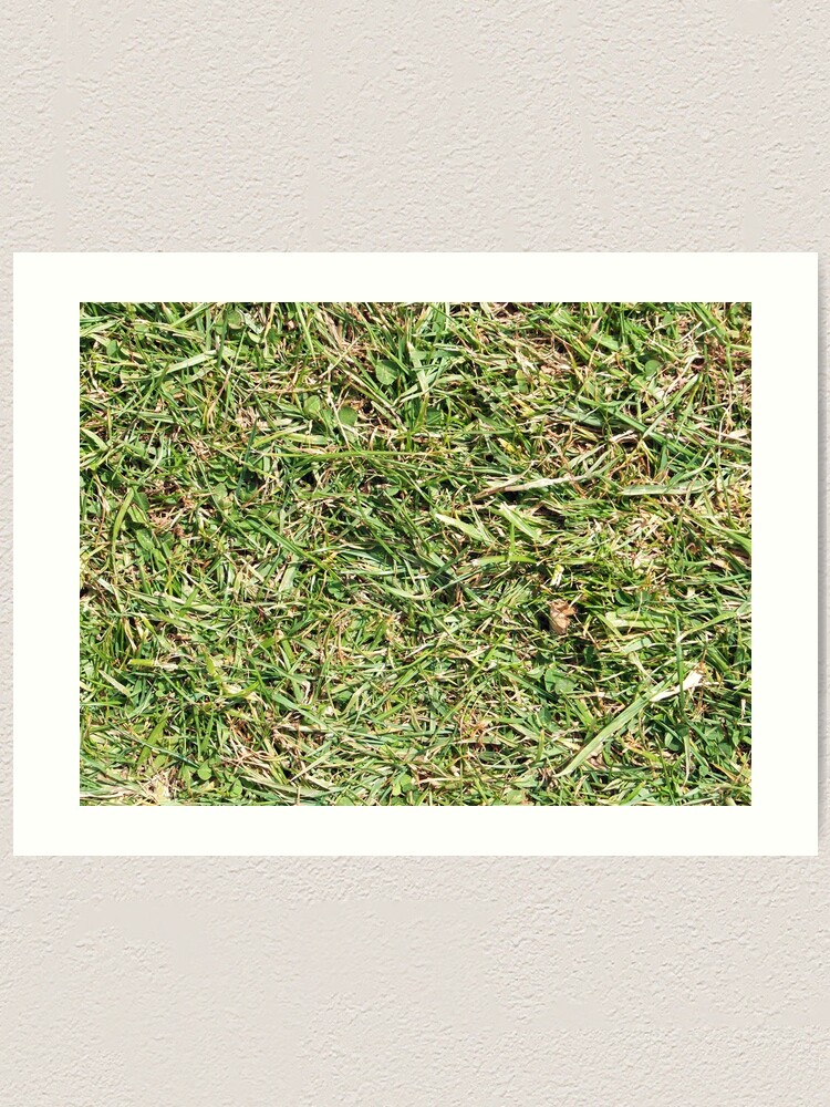"Grass Texture" Art Print for Sale by pinkal | Redbubble