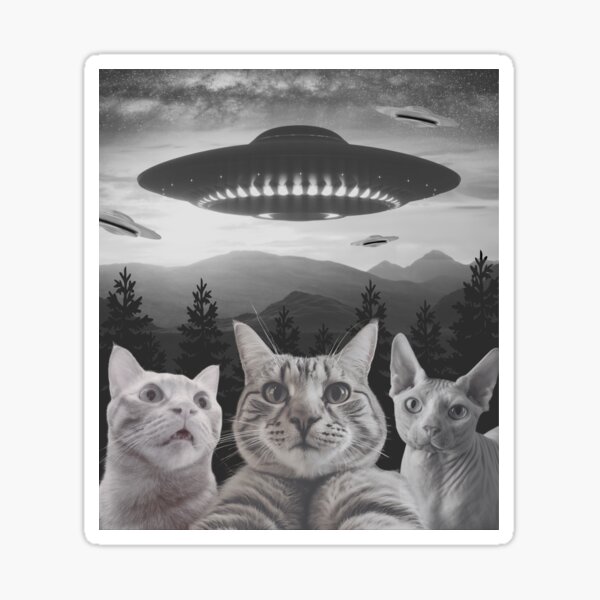 "Funny Invasion Meme Cat Selfie with UFOs Spaceship Design For Men ...