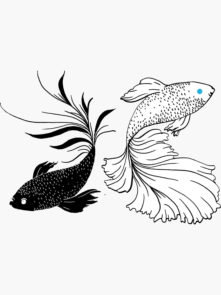 "Black And White Betta Fish / Strongest Anime Inspired / Siamese ...