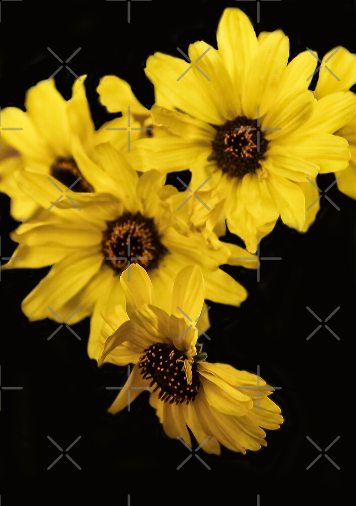 "Yellow Cluster " by Heather Friedman | Redbubble