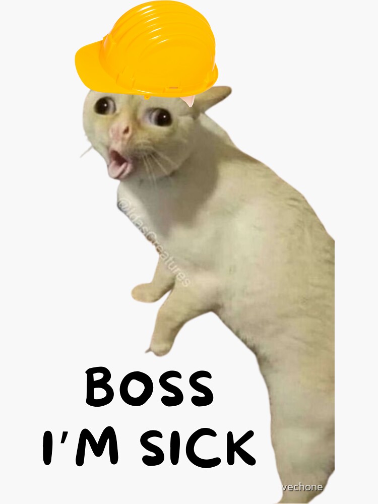 " catswithhardhats boss i'm sick cough cat meme" Sticker for Sale by ...