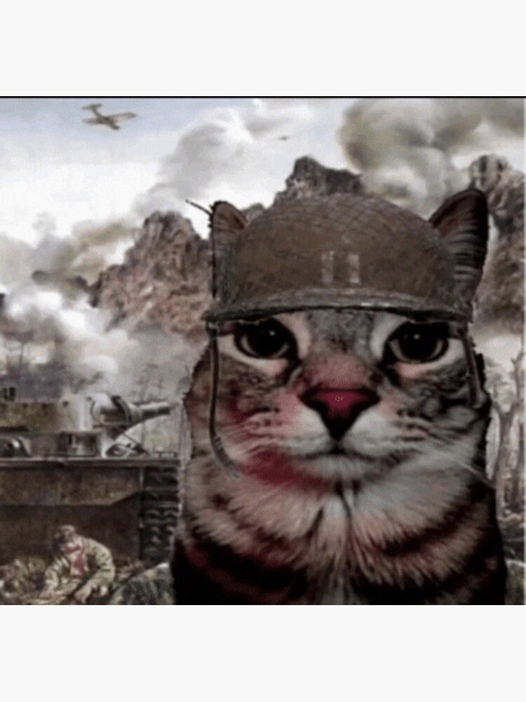 "Funny Soldier Cat" Sticker for Sale by KittyNTinyMitty | Redbubble