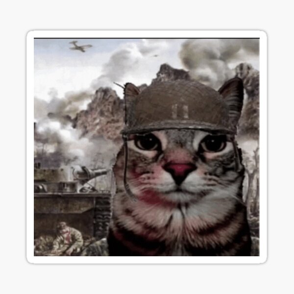 "Funny Soldier Cat" Sticker for Sale by KittyNTinyMitty | Redbubble