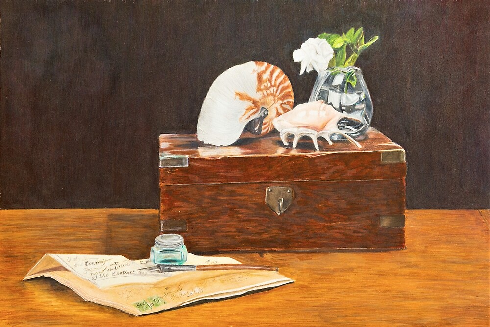 "Still life with shells" by Kylie Carney | Redbubble