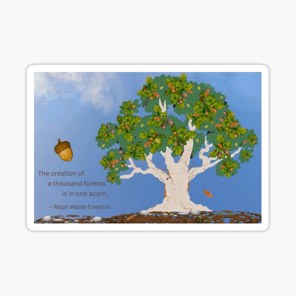 EJVisuals Shop | Redbubble