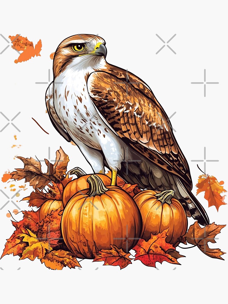"Fall Pumpkins Hawk" Sticker for Sale by DigitalToast | Redbubble