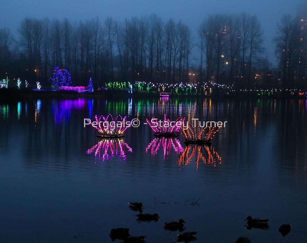 "light up water lilies" by Perggals© - Stacey Turner | Redbubble