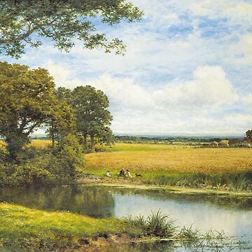 "Fields of Gold | golden county wheat fields on a summer day landscape ...