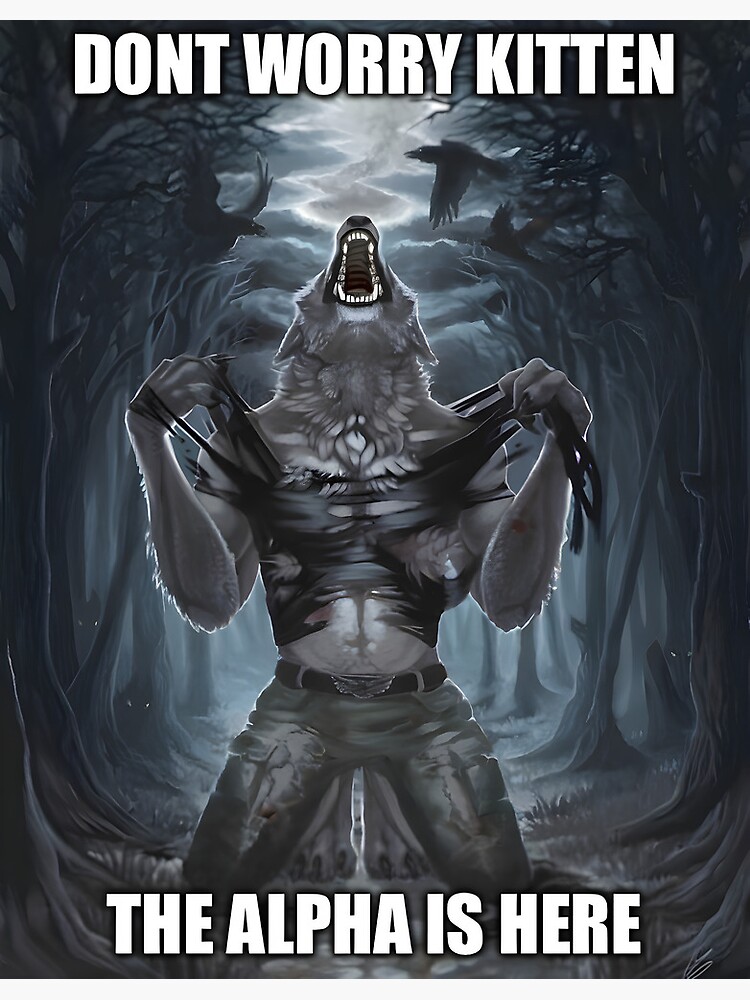 Fotodruck for Sale mit "Alpha Wolf Meme - Mach dir keine Sorgen, Kätzchen" von eletia | Redbubble