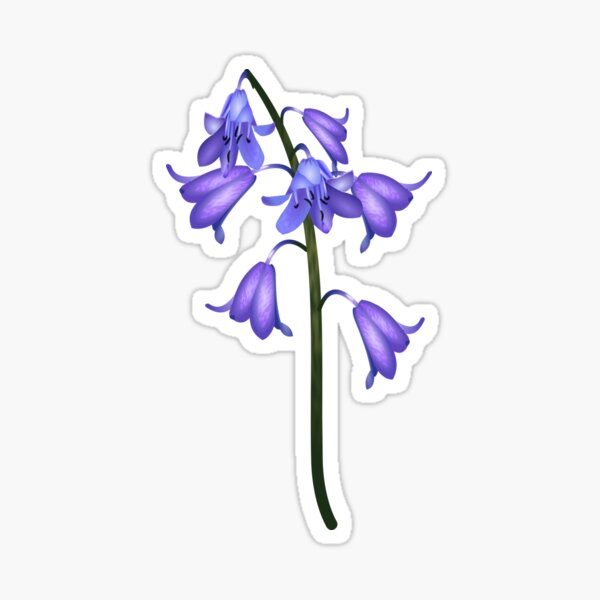 "Bluebell Blue" Sticker for Sale by Kampfkeiler | Redbubble