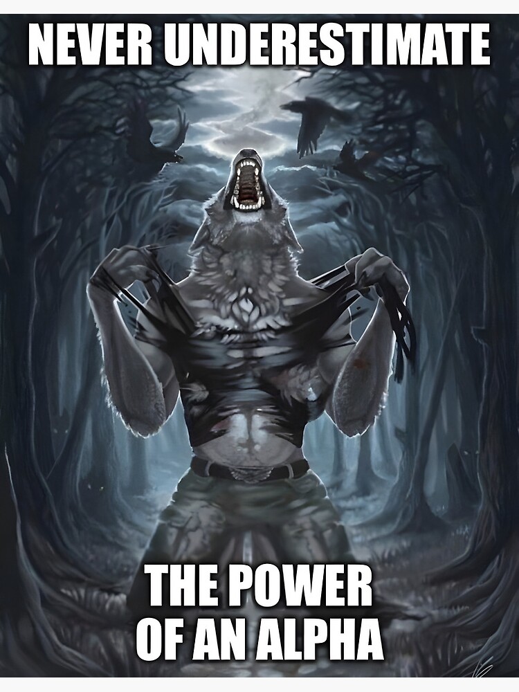 "Alpha Wolf Meme - Never Underestimate the Power of an Alpha ...