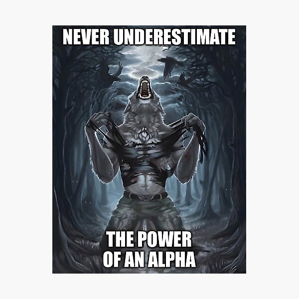 "Alpha Wolf Meme - Never Underestimate the Power of an Alpha ...