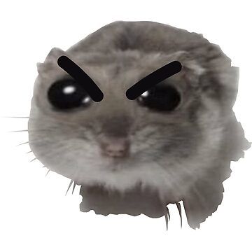 "Angry Coquette Hamster Funny Meme / Big Eye Eyes Eyed Mouse" Sticker ...