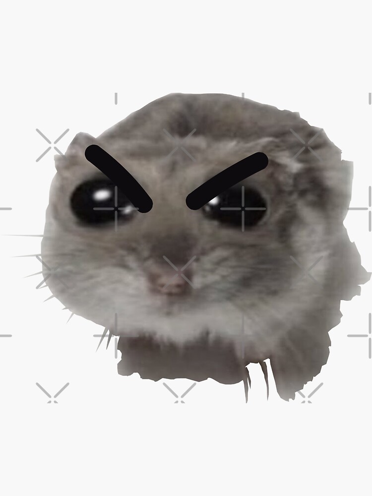 "Angry Coquette Hamster Funny Meme / Big Eye Eyes Eyed Mouse" Sticker ...