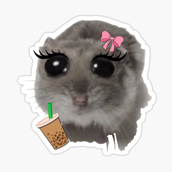 "Cute Sad Coquette Hamster Funny Meme / Big Eye Eyes Eyed Mouse ...