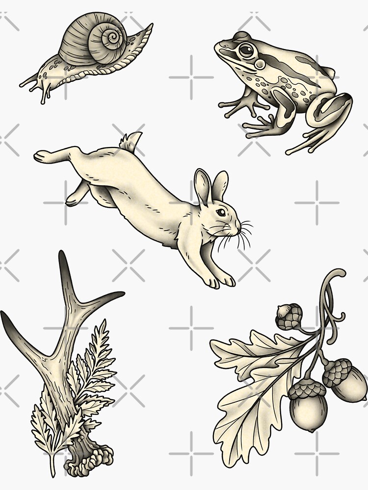 "Cute Forestcore Art Fern Snail Bunny Antler Frog Toad Cottagecore ...