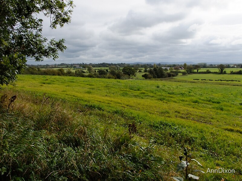 "CHESHIRE Plains England" by AnnDixon | Redbubble