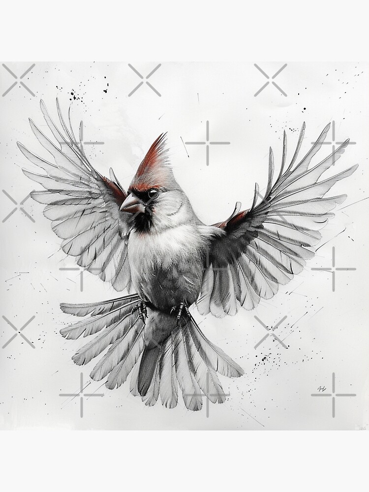 Cardinal Drawing Pencil