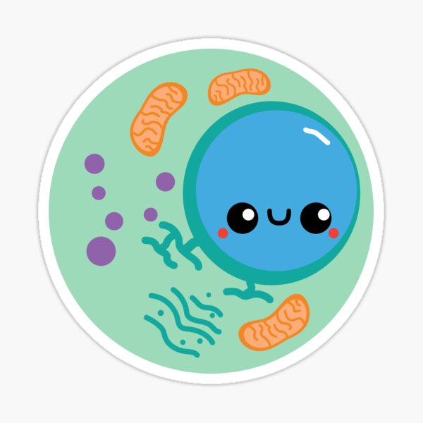 "Happy Little Eukaryotic Cell" Sticker for Sale by ScienceAdjacent ...
