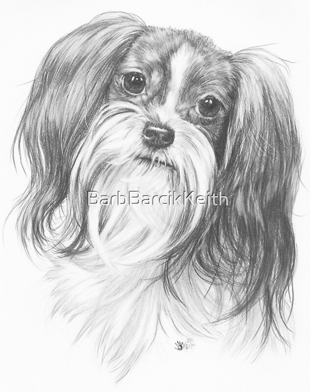 "Mi-Ki (pronounced mee-kee) Portrait in Graphite" by BarbBarcikKeith ...