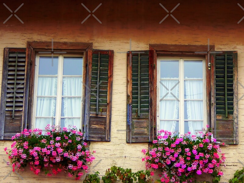 "Rustic Swiss Window" by Vaengi | Redbubble