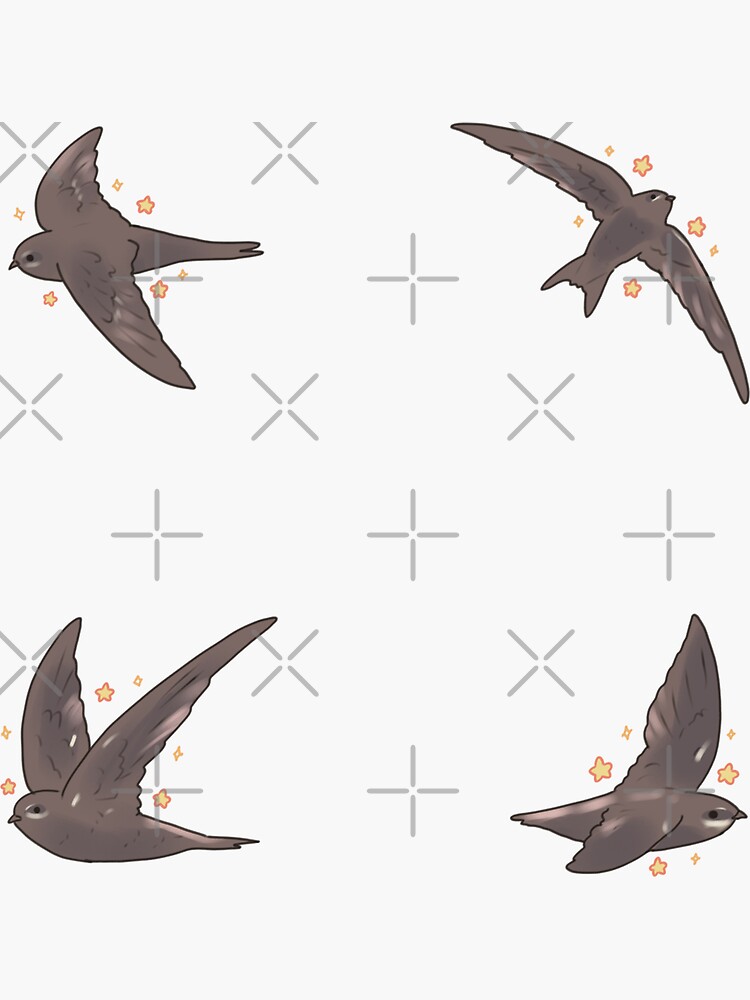 "Cute Common Swift pack " Sticker for Sale by Artofmayara | Redbubble