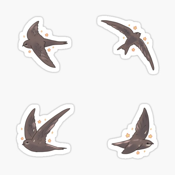 "Cute Common Swift pack " Sticker for Sale by Artofmayara | Redbubble