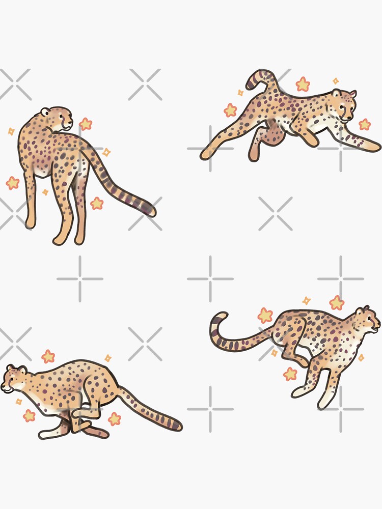 "Cheetah pack " Sticker for Sale by Artofmayara | Redbubble