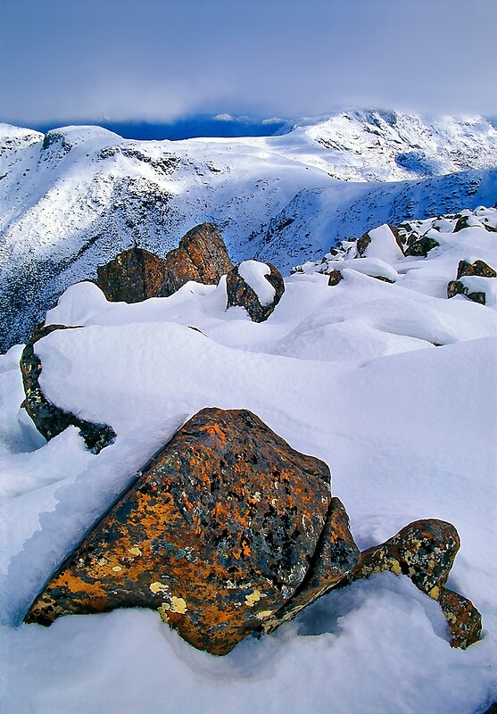 "Winter, Mount Field National Park" by Kevin McGennan | Redbubble