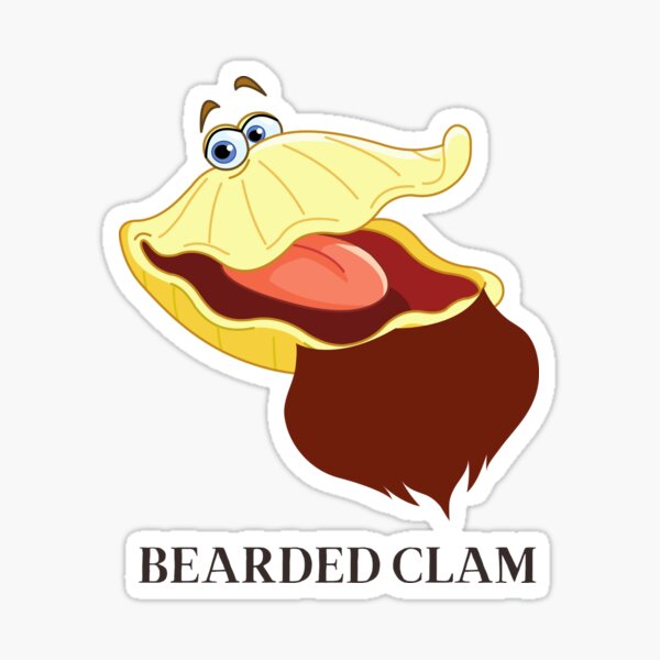 Bearded clam pics store