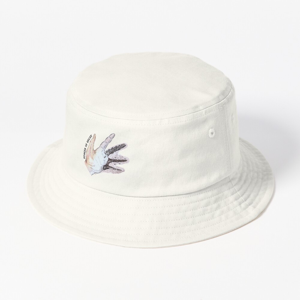 "Stages of Decay Hand by Skye Rain Art" Poster for Sale by Skye Rain ...